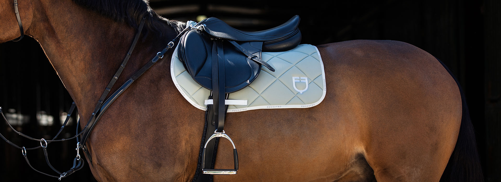 AmaHorse - Tutto per l'equitazione-Cavallo & Monta Inglese